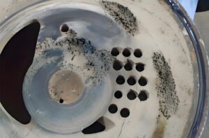 Pump Failure | Full Guide to Causes, Symptoms, and Prevention